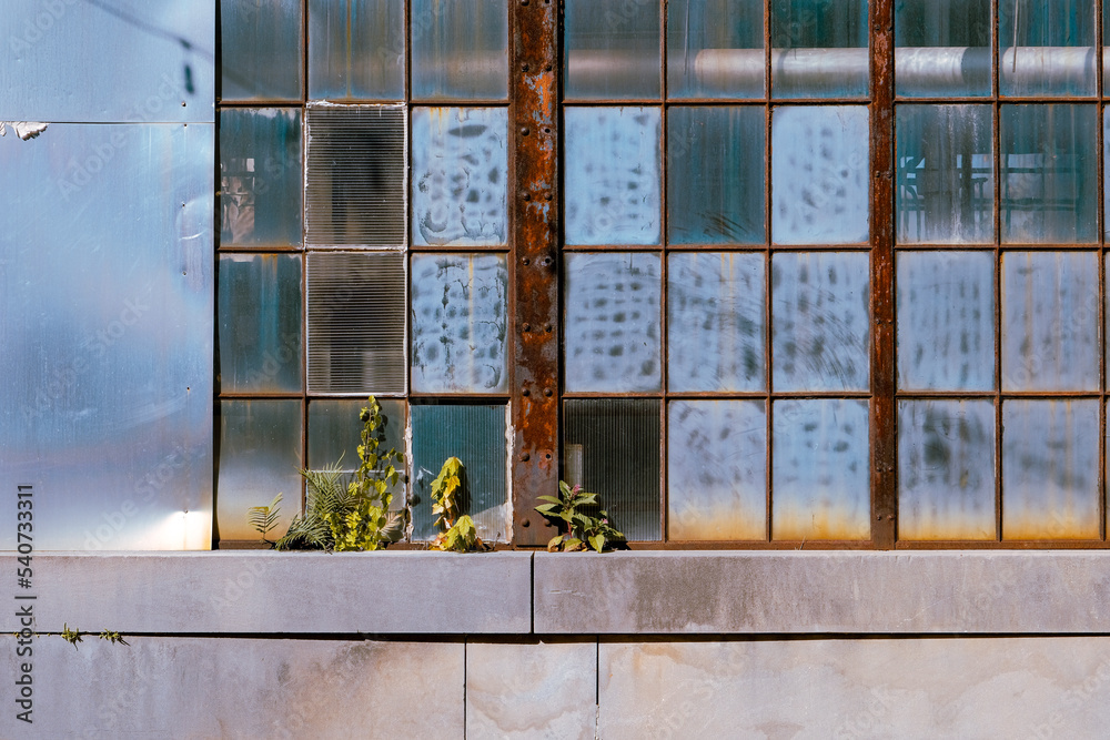 Old and decaying factory windows with much damage and over growth ...