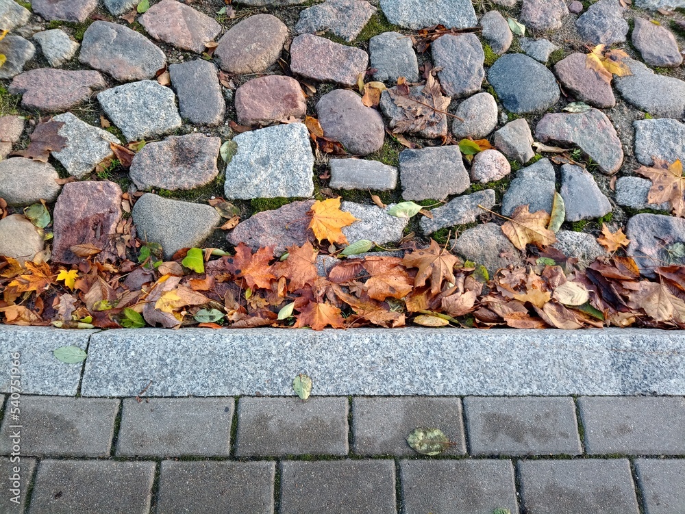 Kostka brukowa i jesienne liście foto de Stock | Adobe Stock