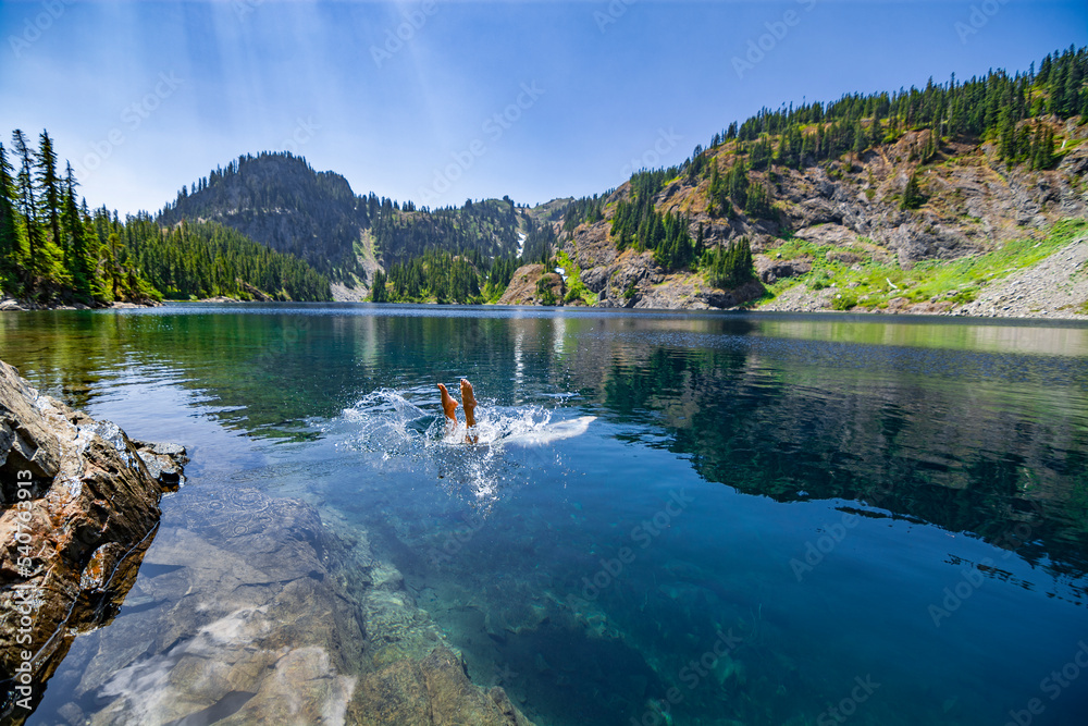 Adventurous athletic female hiker diving into an alpine lake in the ...