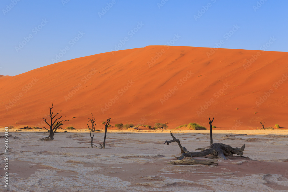 Deadvlei, white clay pan located inside the Namib-Naukluft Park in ...