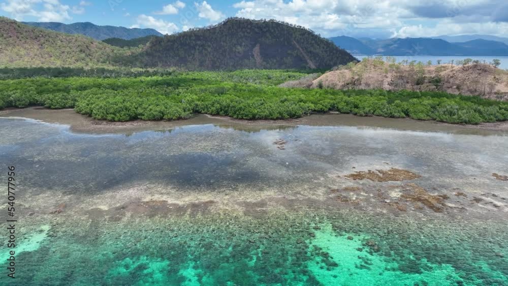 An extensive reef flat fringes a mangrove forest on a tropical island ...