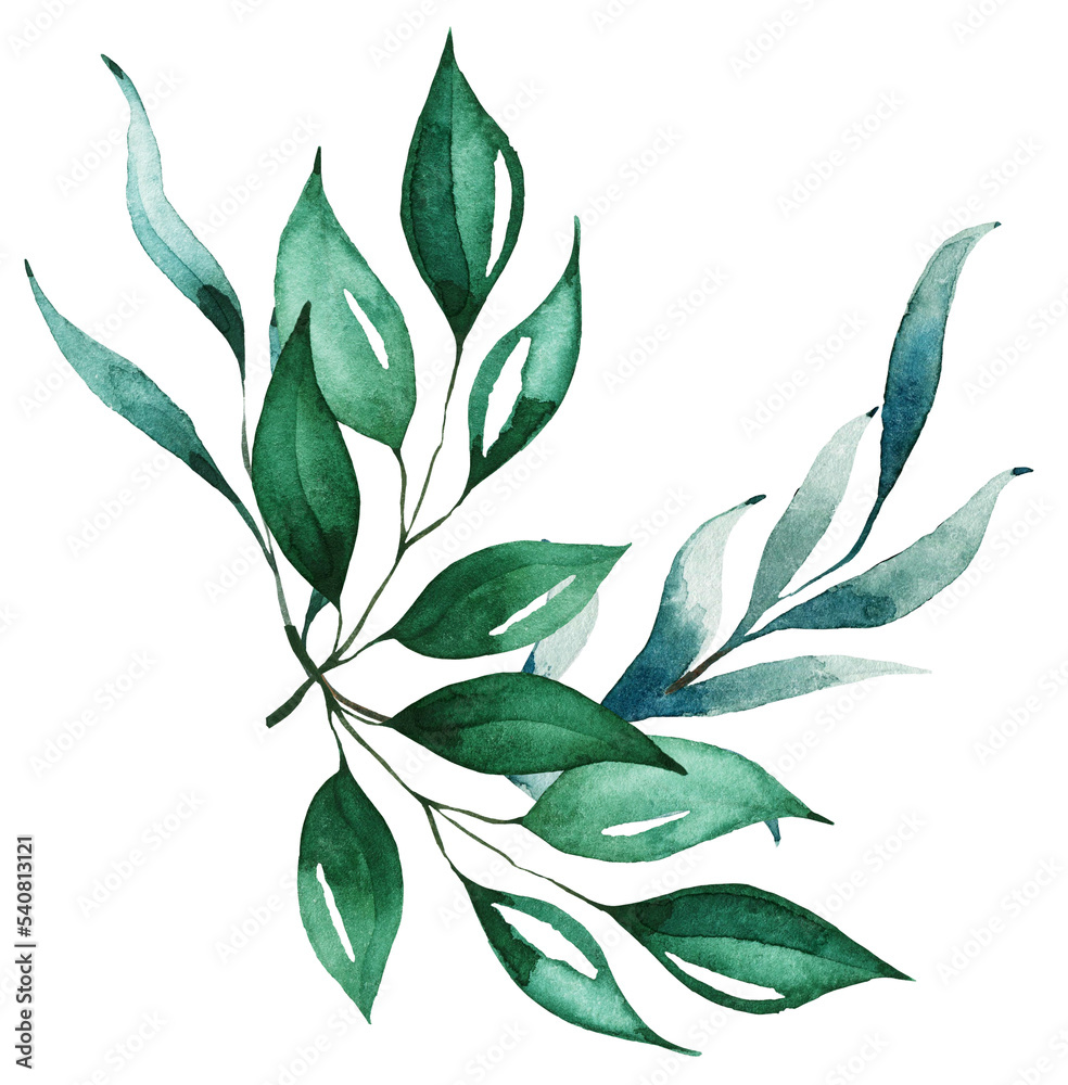 Isolated emerald green leaves branch arrangement. Cut out hand drawn ...