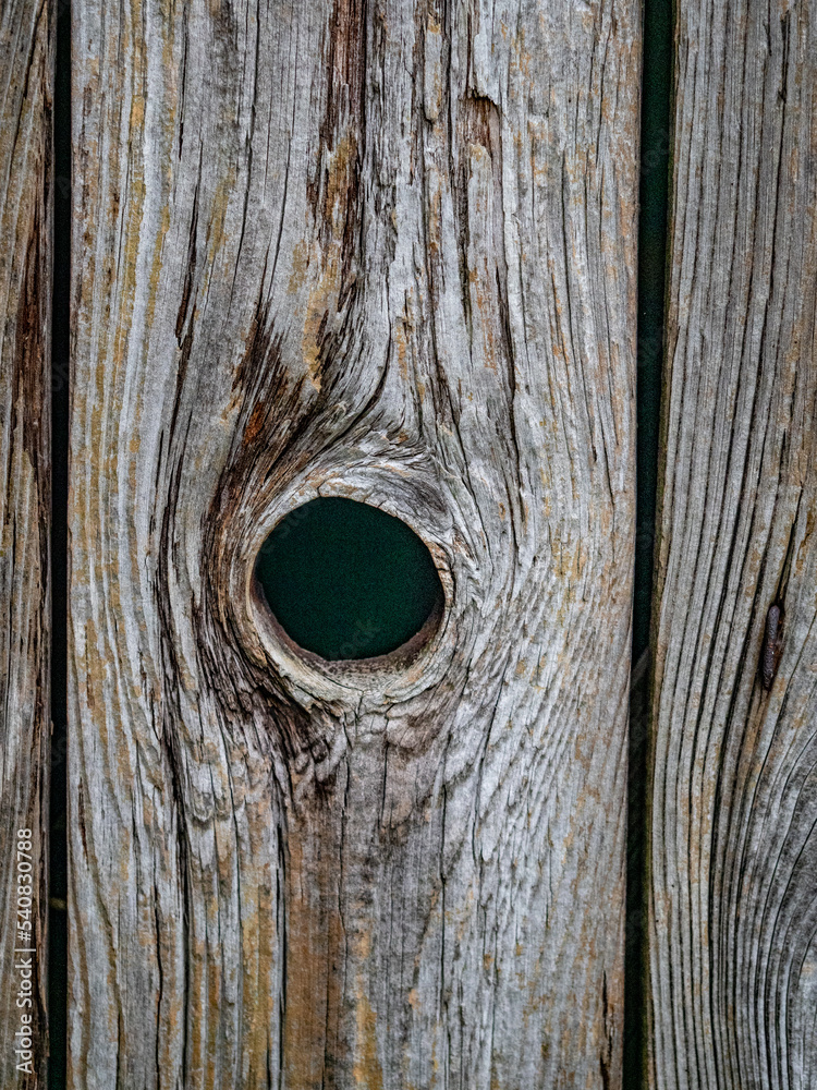 Holztextur Stock Photo | Adobe Stock