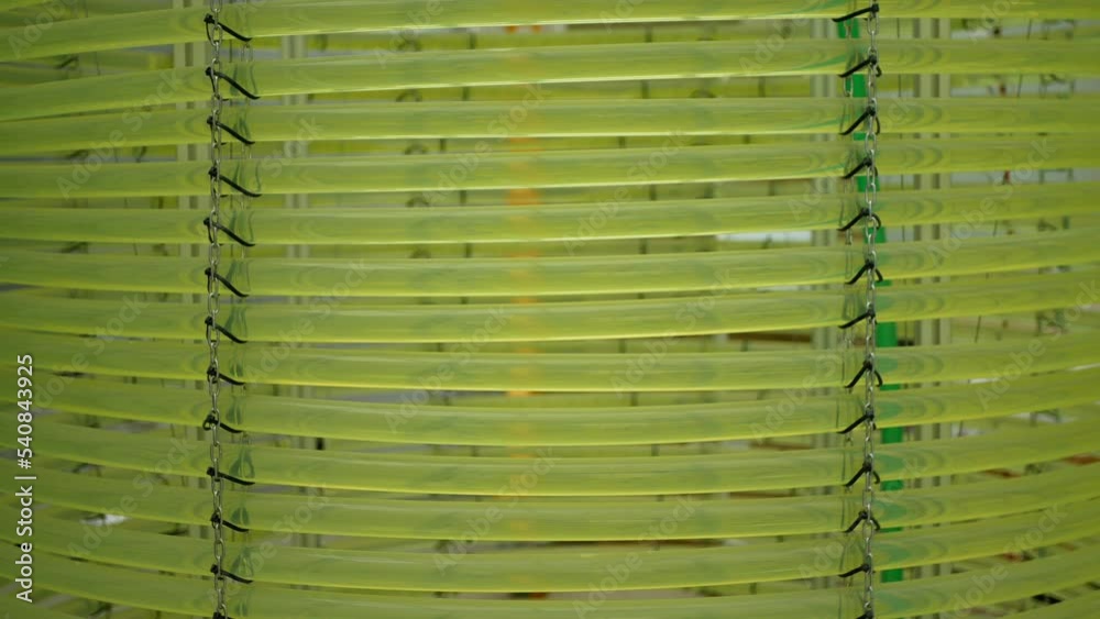 Algae science reactor tubular, research pipe hose modern laboratory ...