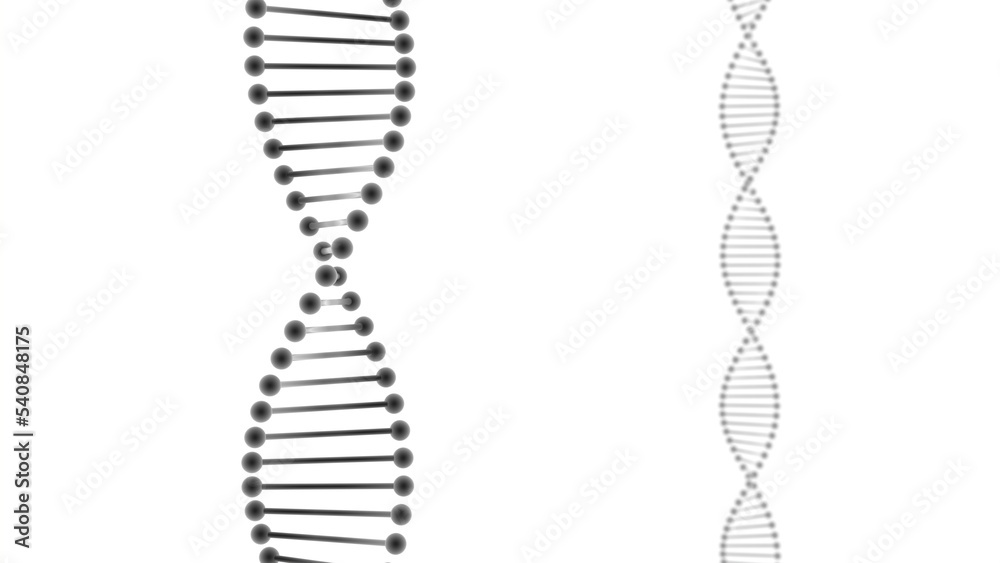 3d representation dna model rotating, minimalist representation of ...