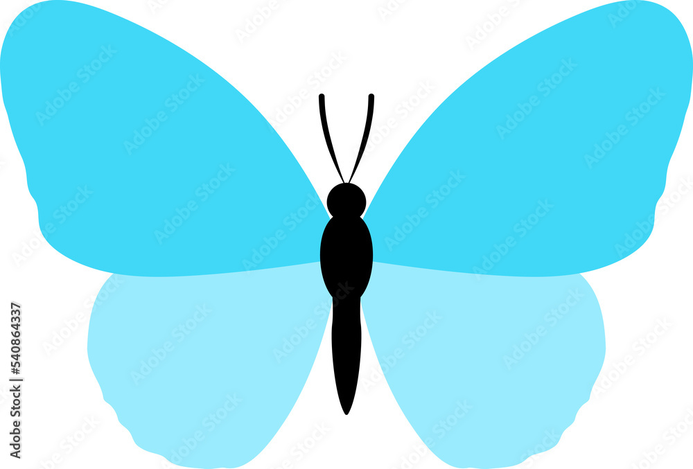 blue butterfly isolated on transparent background illustration floral ...