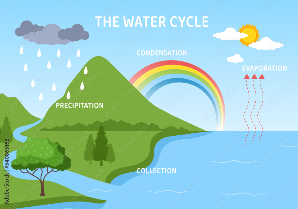 Evaporation Water Cycle
