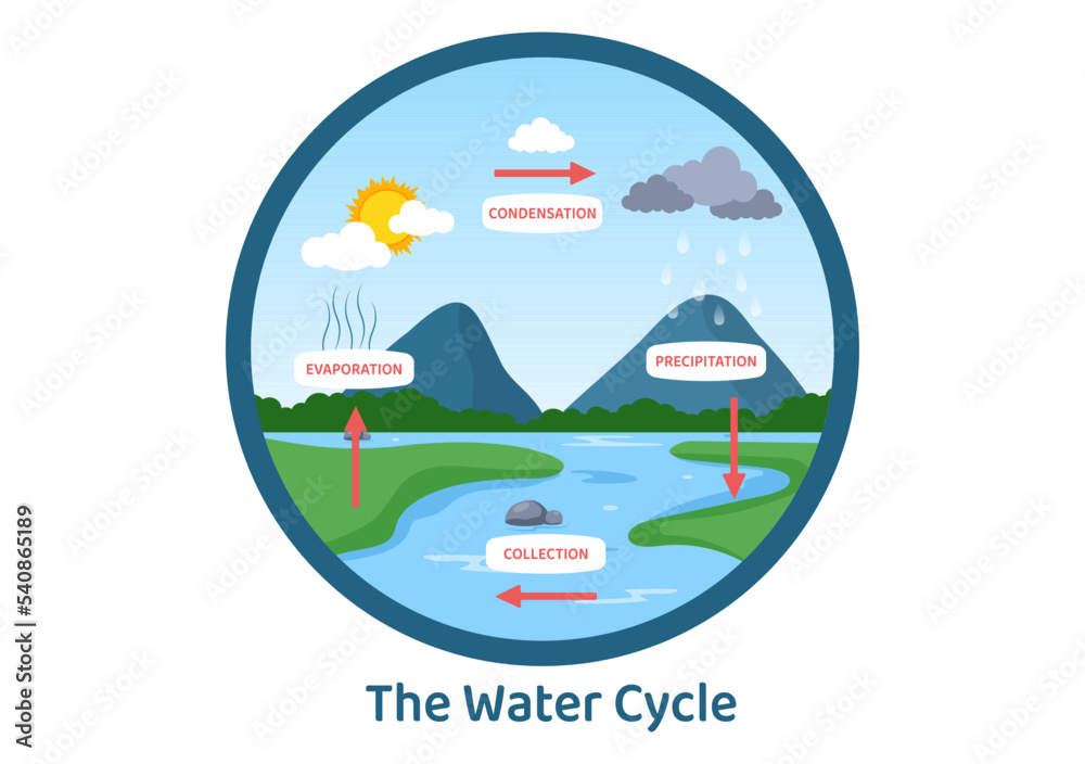 Water Cycle of Evaporation, Condensation, Precipitation to Collection ...