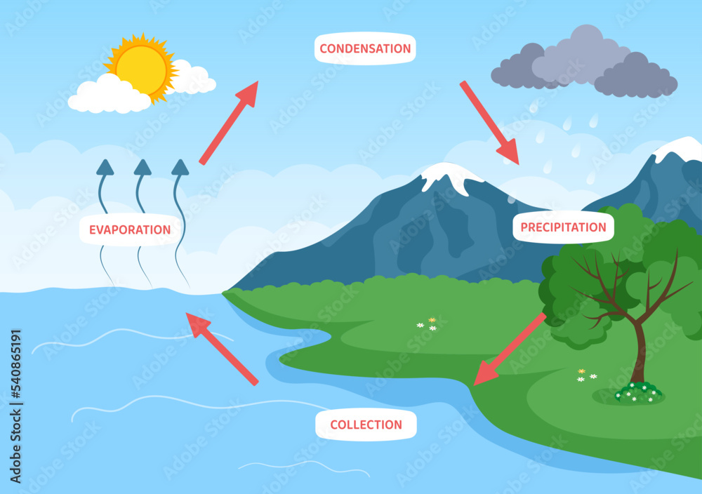 Water Cycle of Evaporation, Condensation, Precipitation to Collection ...