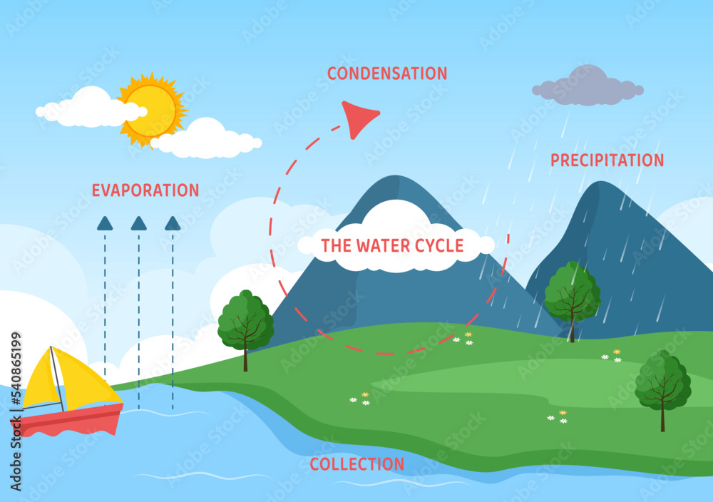 Water Cycle of Evaporation, Condensation, Precipitation to Collection ...