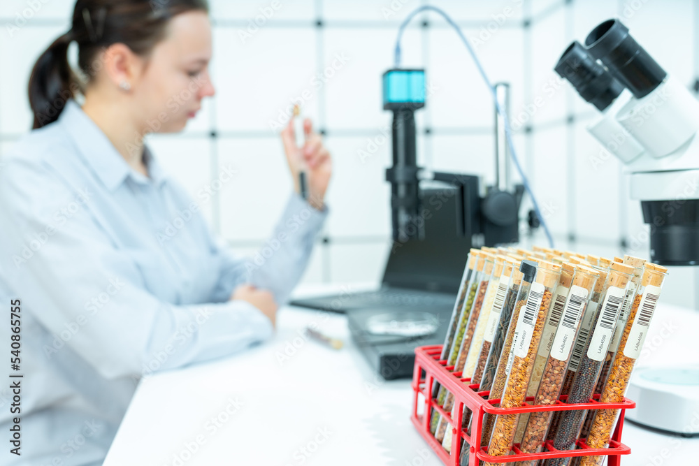 schoolgirl student studying different seeds of plants at a biology ...