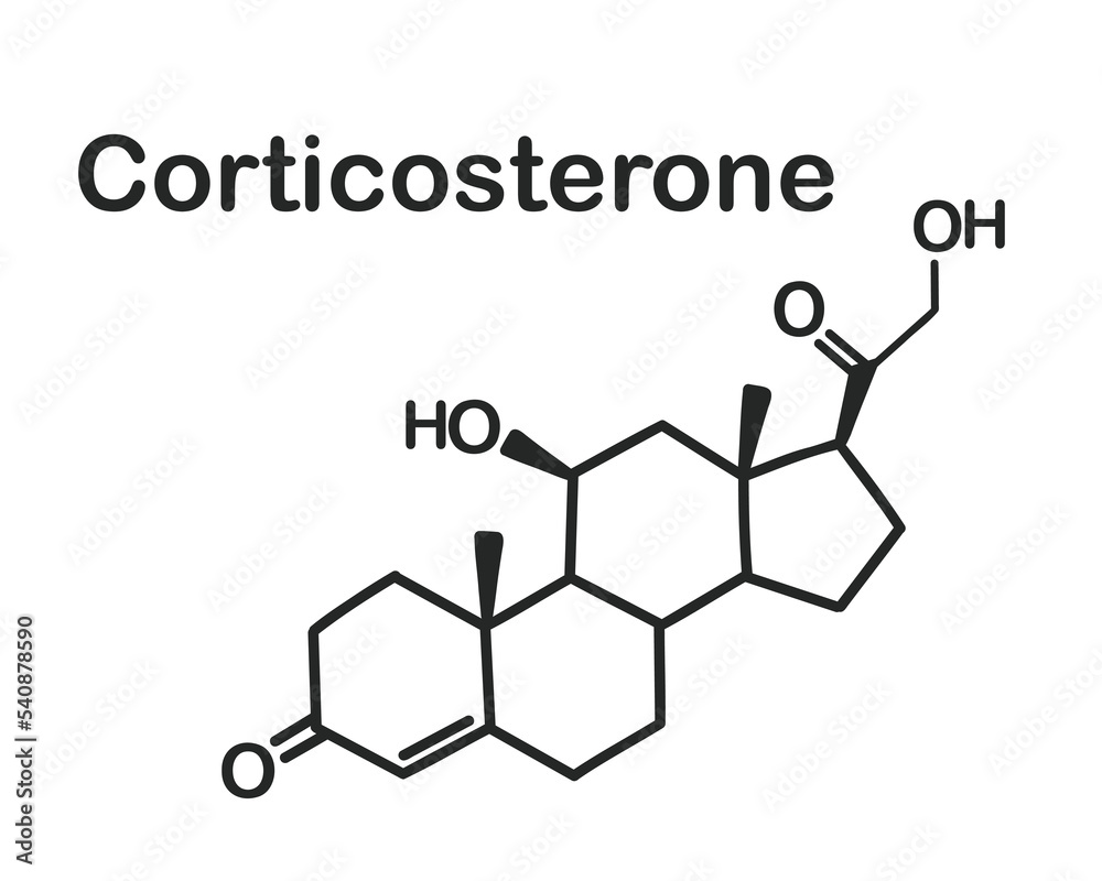 Structural chemical formula of corticosterone isolated on white ...