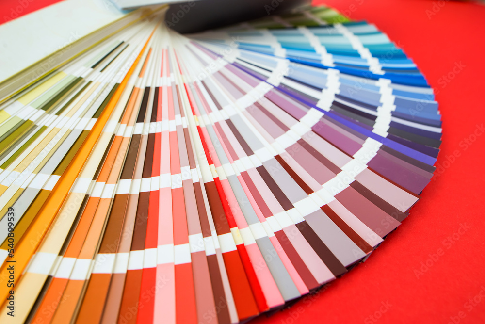 Color guide close up. Assortment of flowers for design. Color palette ...