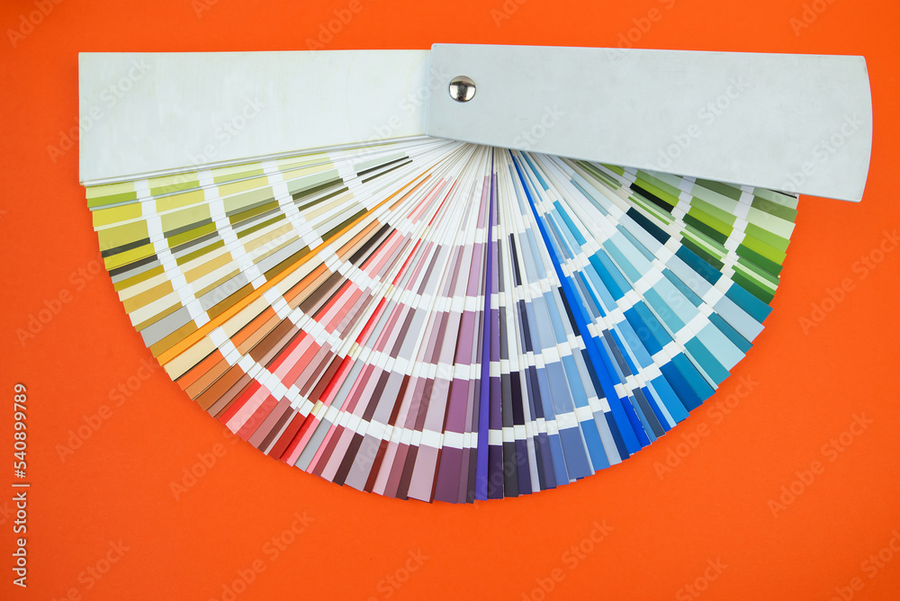 Color guide close up. Assortment of flowers for design. Color palette ...