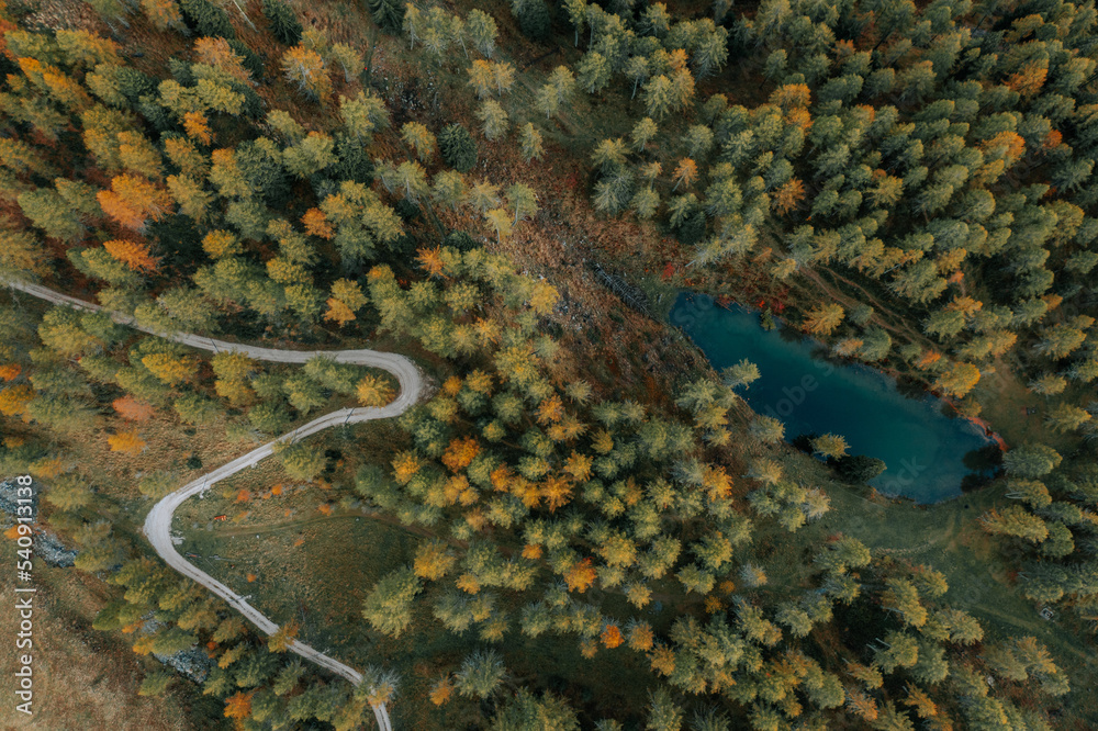 Eine Straße im Wald in der Herbstzeit. Kurvige Straße in einem bunten ...
