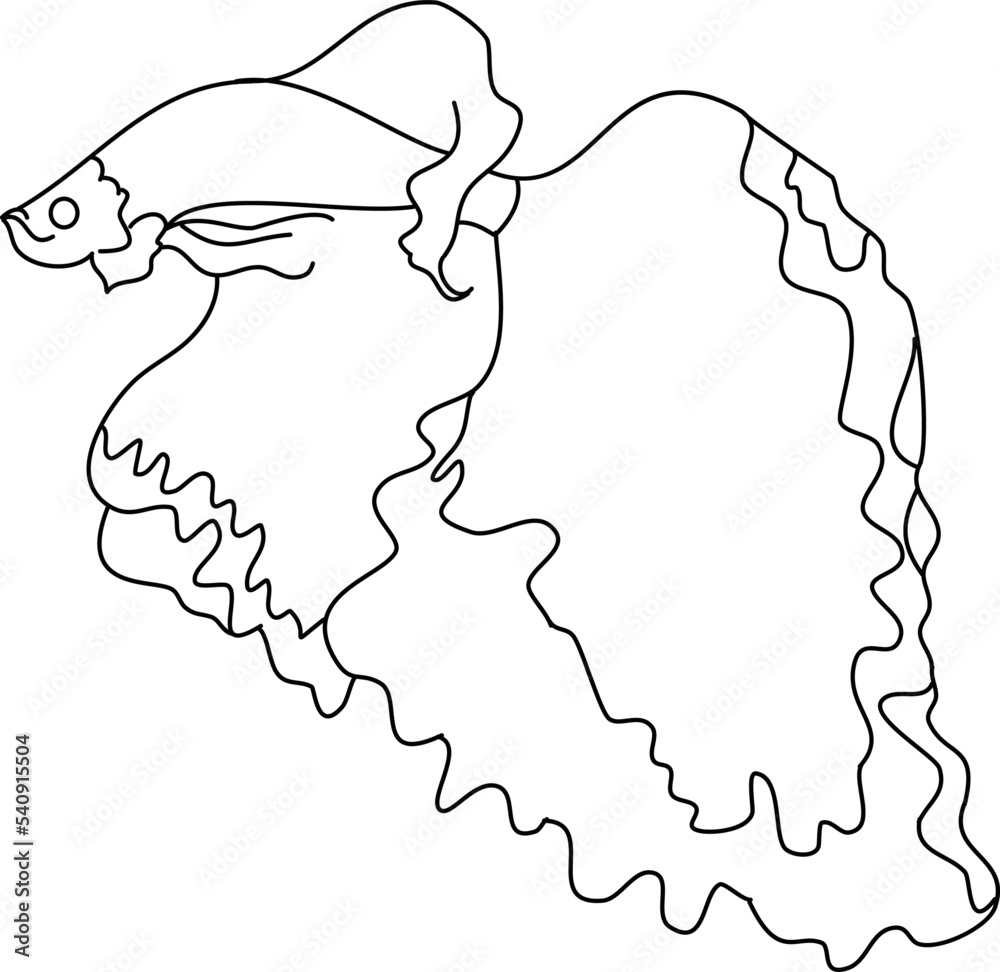 Outline Betta fish vector.beautiful Fighting fish, Line art Hand ...