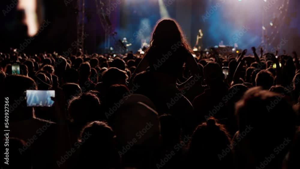 Back view of a crowd of people at an outdoor concert Stock ビデオ | Adobe ...