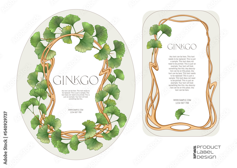 Ginkgo biloba leaves. Border, art nouveau frame, template for product ...