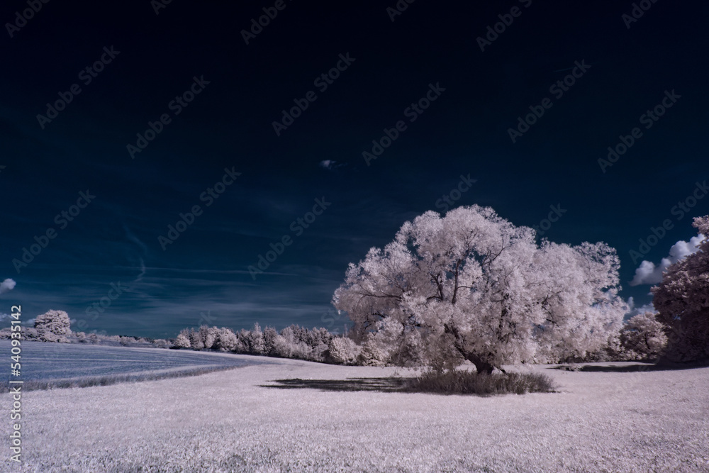 infrared photography - ir photo of landscape under sky with clouds ...