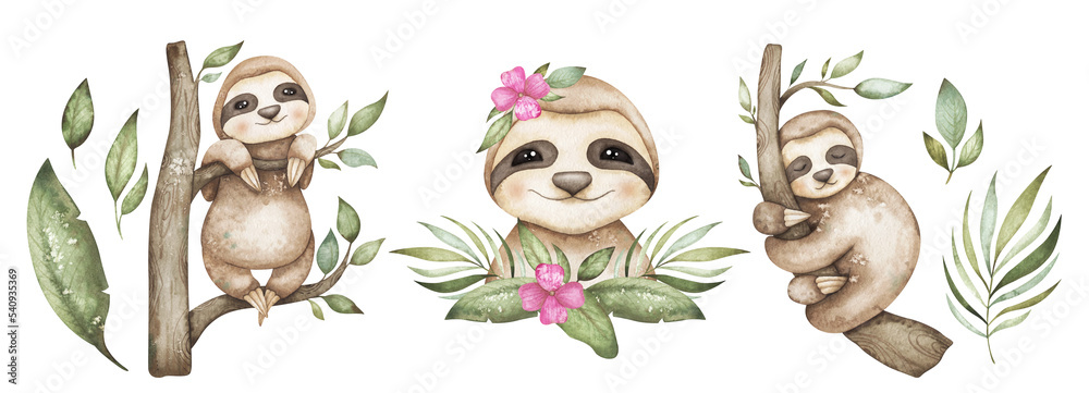 Watercolor set with cute baby sloths and greenery. Delicate ...
