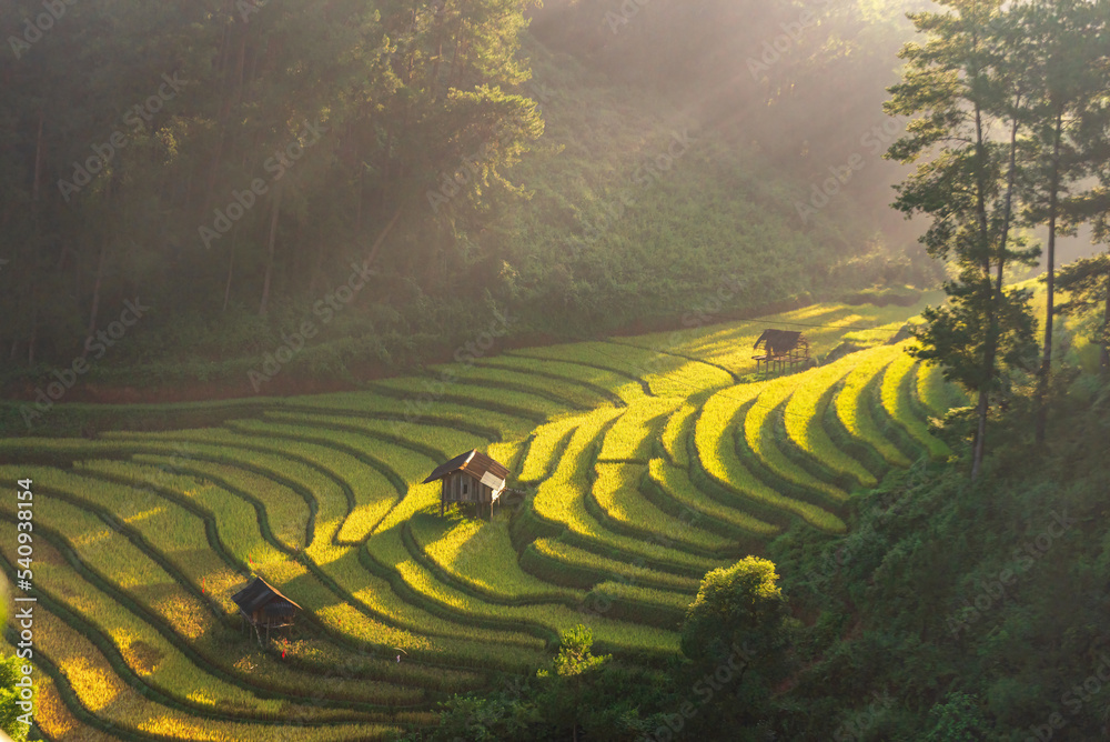 The light shines on the huts and terraced rice fields. Morning, in ...