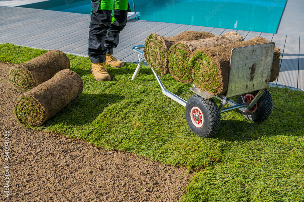 Tuft Grass Rolls Loaded on Hand Truck Stock Photo | Adobe Stock