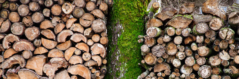 Rustic background with tree and woodpile of firewood. The tree trunk is ...