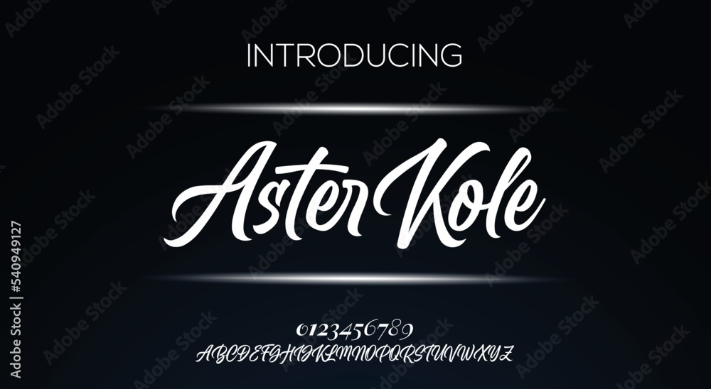 ASTER KOLE Signature Font Calligraphy Logotype Script Font Type Font lettering handwritten Stock ...