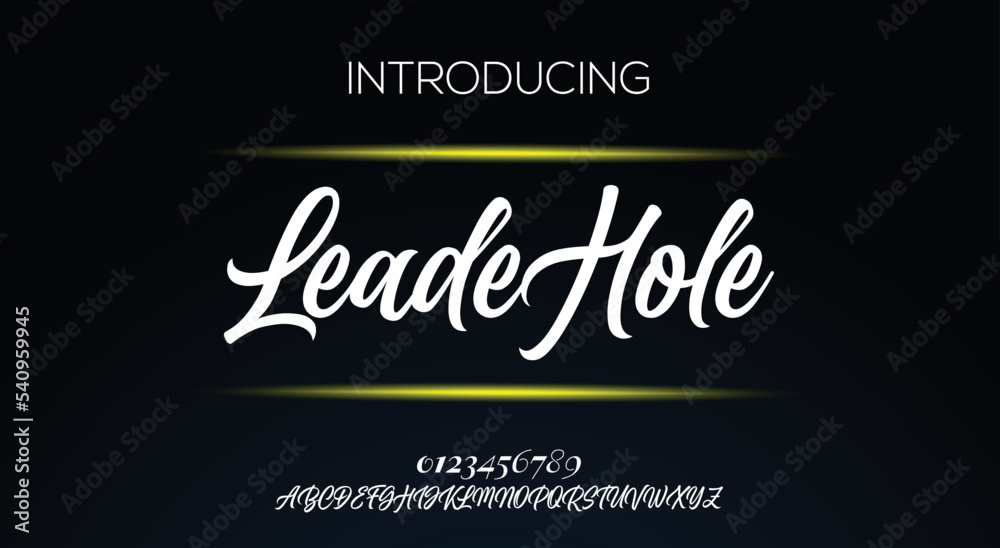 LEADE HOLE Signature Font Calligraphy Logotype Script Font Type Font ...