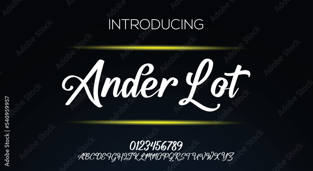 ANDER LOT Signature Font Calligraphy Logotype Script Font Type Font ...