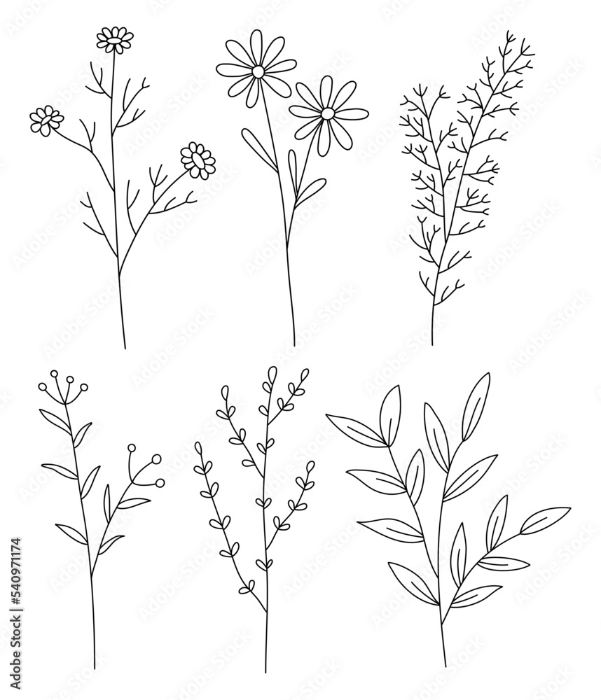 Field plants line vector, line flowers vector set, plants collection ...