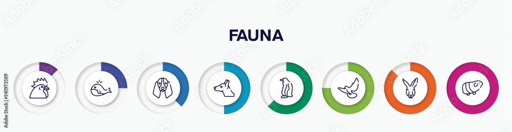 infographic element with fauna outline icons. included chiken head, big ...