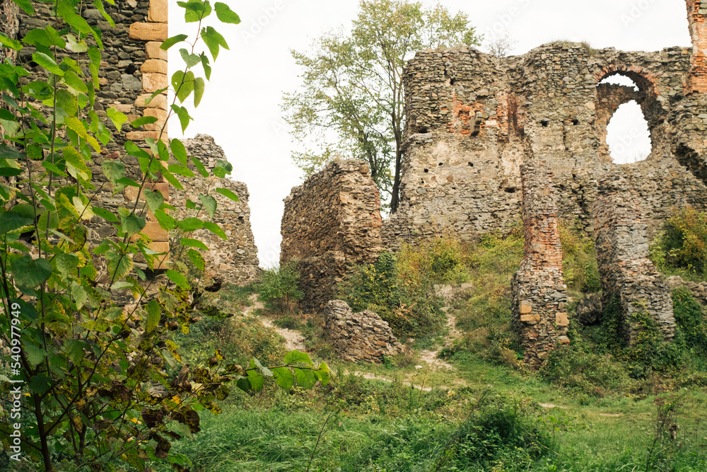 Ruins of medieval mountain Romanian castle Şoimoş Fortress (Cetatea ...