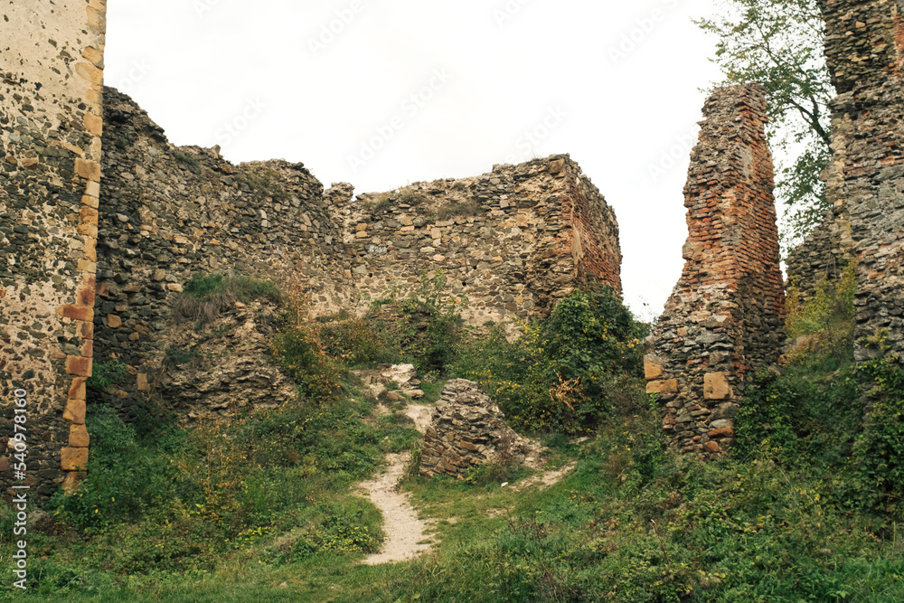 Ruins of medieval mountain Romanian castle Şoimoş Fortress (Cetatea ...
