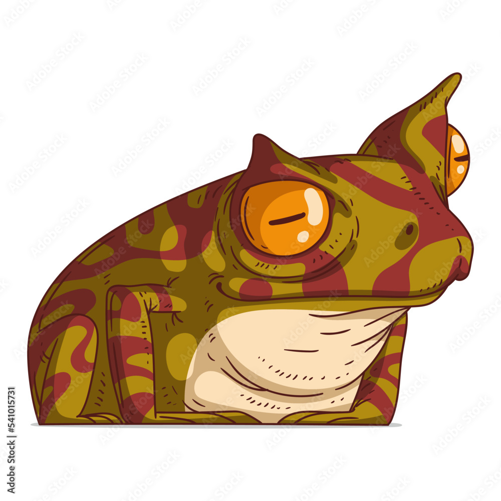 A Curious Frog, isolated vector illustration. Cartoon picture of a ...