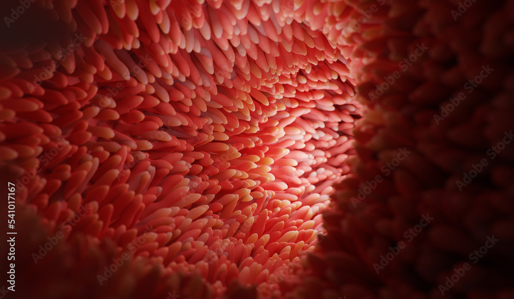 Microvilli on surface of digestive system or intestinal tract. 3D ...
