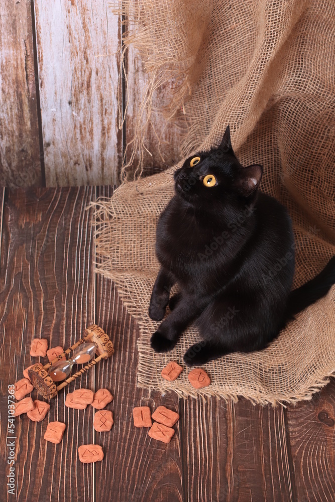 still life in Gothic Halloween style. Black cat, runes, hourglass with ...