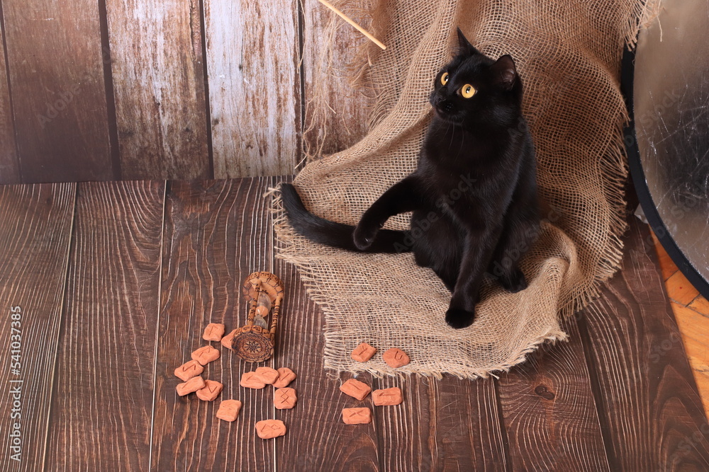 still life in Gothic Halloween style. Black cat, runes, hourglass with ...