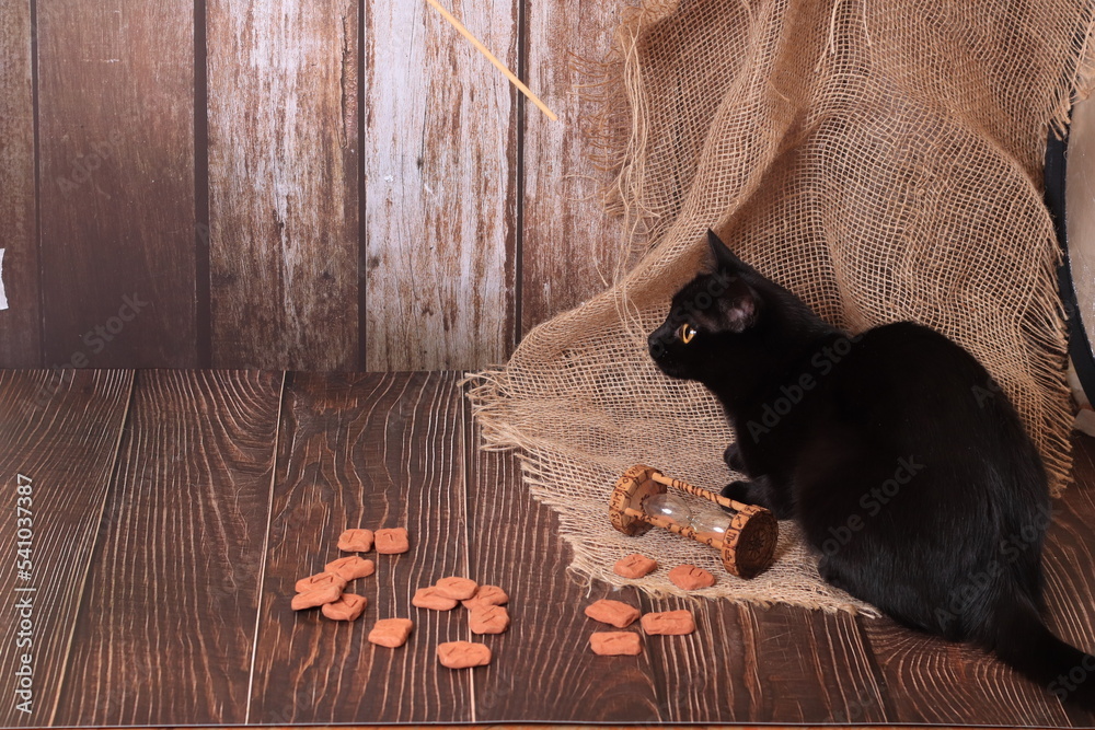 still life in Gothic Halloween style. Black cat, runes, hourglass with ...