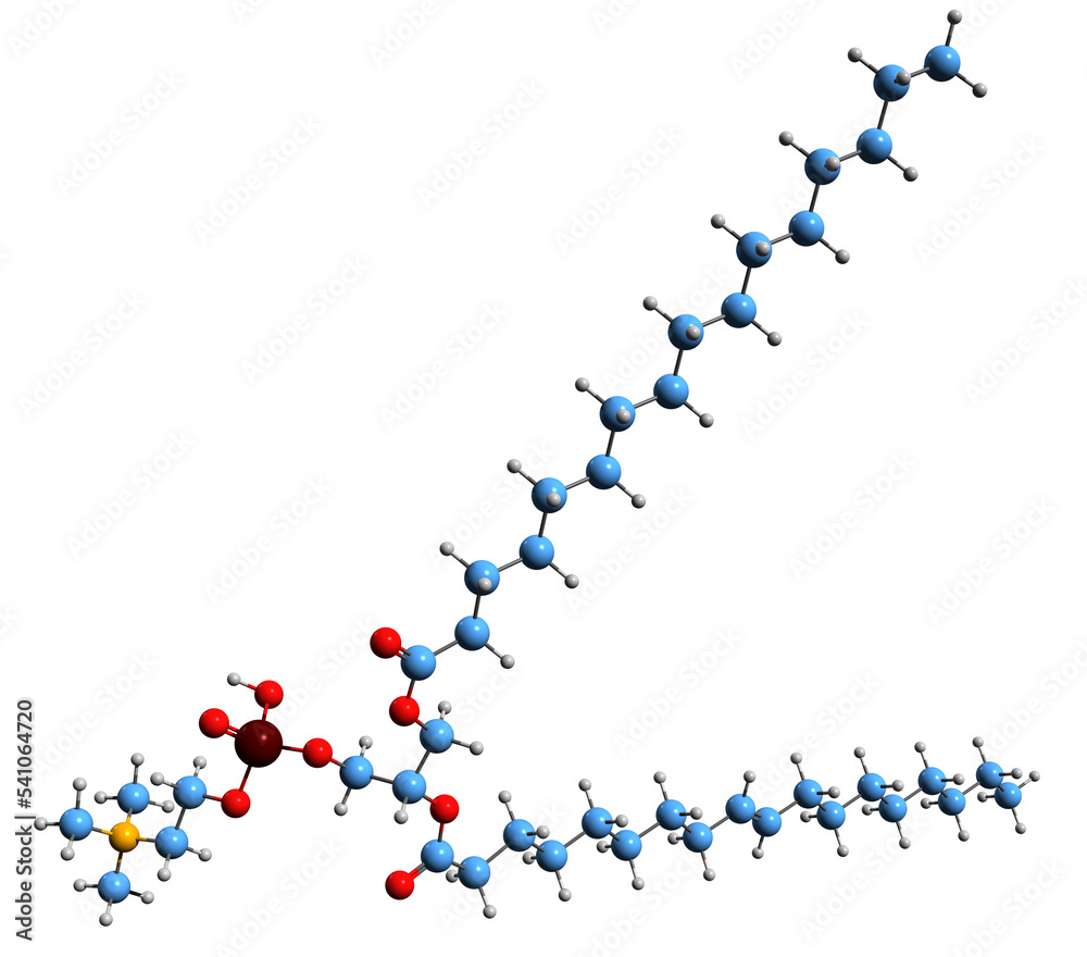 3D image of phosphatidylcholine skeletal formula - molecular chemical structure of phospholipid ...