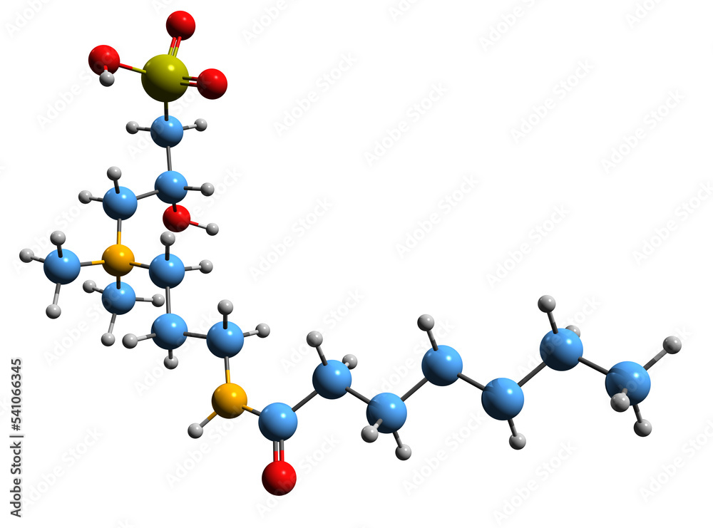 3D image of Tallowamidopropyl hydroxysultaine skeletal formula ...