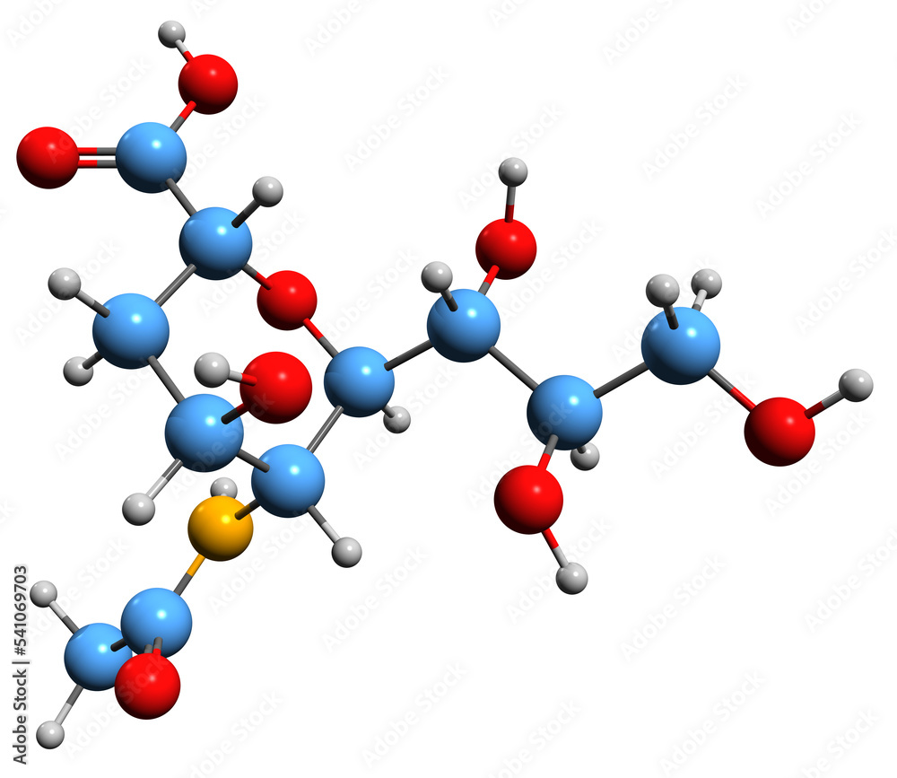 3D image of N-Acetylneuraminic acid skeletal formula - molecular ...