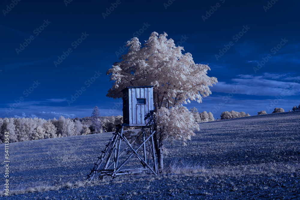 infrared photography - ir photo of landscape under sky with clouds ...
