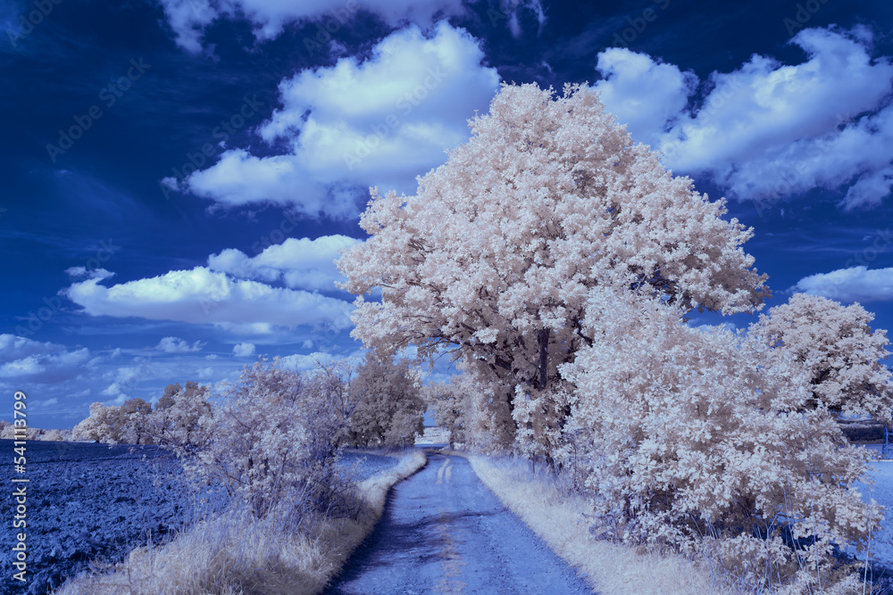 infrared photography - ir photo of landscape under sky with clouds ...