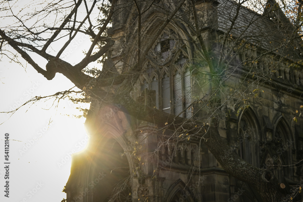 Dexter Chapel Mausoleum: a gothic revival mausoleum designed by James ...