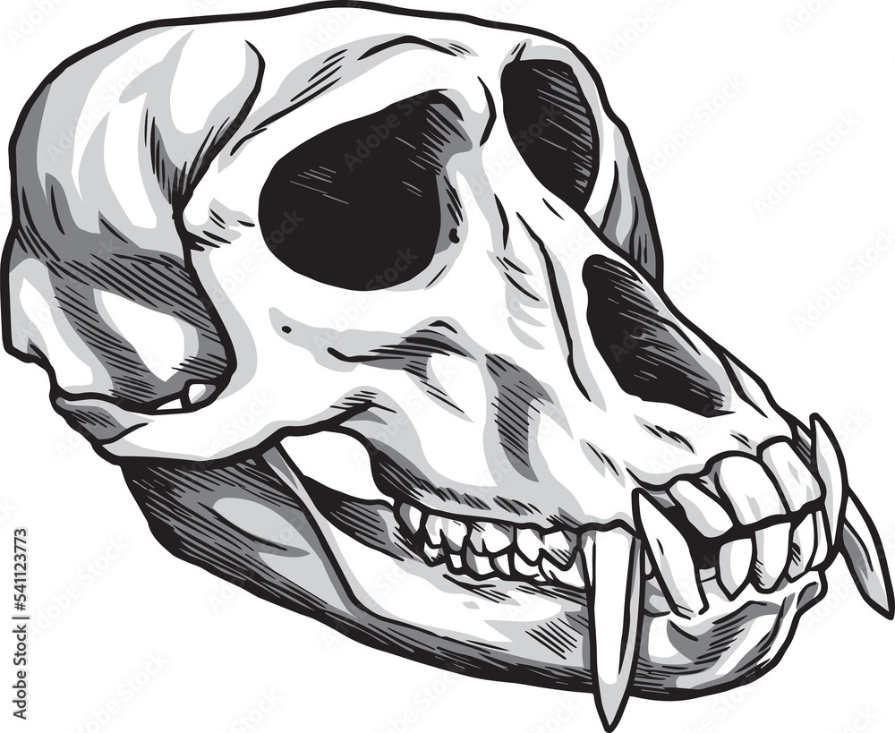 Monkey Skull Vector Illustration Line Drawing Art ilustração do Stock ...