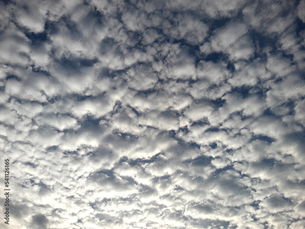 Altocumulus clouds are filled with beautiful streaks of sunlight, panorama, and usually appear ...