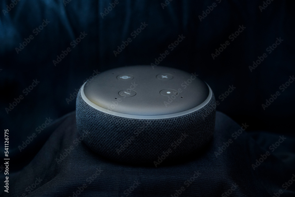 Bankura, West Bengal, India - September 24, 2022: Amazon Echo Dot third ...