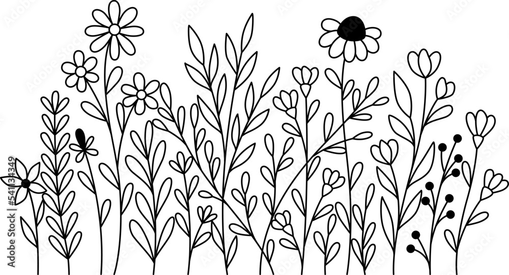 Hand drawn wildflowers meadow. flowers and herbs isolated on white ...