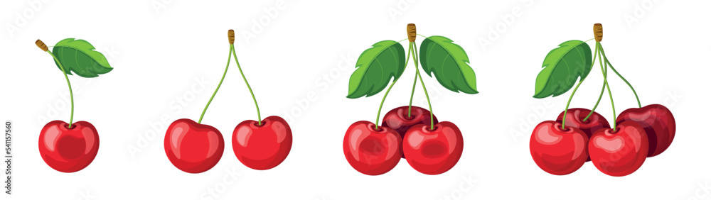 Set of fresh red cherries in cartoon style. Vector illustration of ...